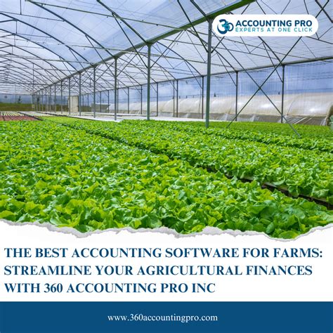 Easiest Accounting Software For Small Businesses 360 Accounting Pro Inc