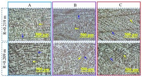 Shows The Dendrite Structures At Different Locations In The