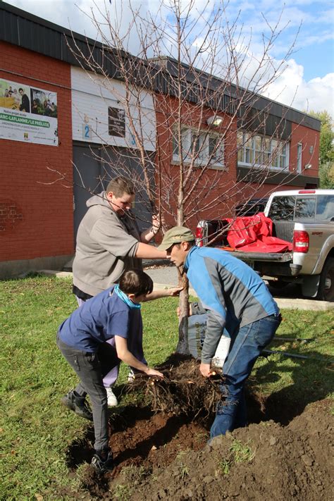 École Spécialisée Marc Laflamme Le Prélude Continuité Du Projet Jardin Mllp