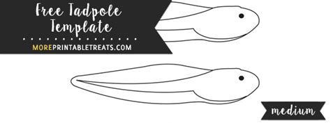 Tadpole Template Medium