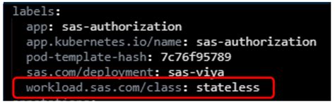 Workload Placement In Sas Viya For The Installation Engineer Part 1