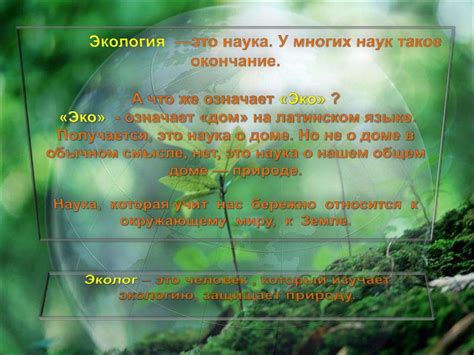 Что такое экология - презентация онлайн