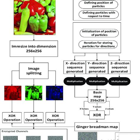 Flow Chart Of Proposed Algorithm For Secure Communication Download Scientific Diagram