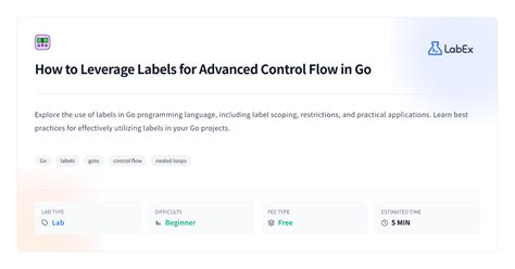 How To Leverage Labels For Advanced Control Flow In Go Labex