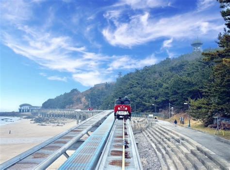 대천해수욕장 놀거리 대천 스카이바이크 레일바이크 예약 방법 네이버 블로그