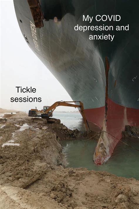 It’s better than nothing! #TickleTherapy : r/tickling