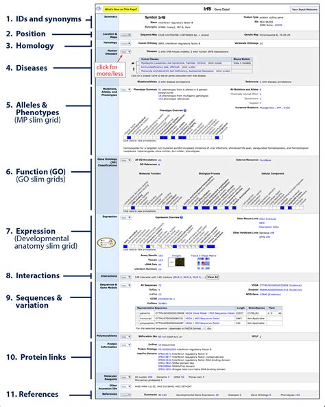 Phenotype Synonym