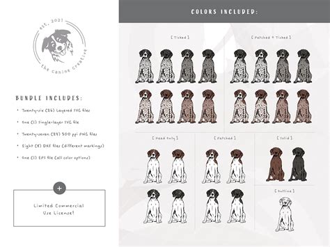 German Shorthaired Pointer Svg Gsp Svg Sitting Dog Svg Etsy Australia