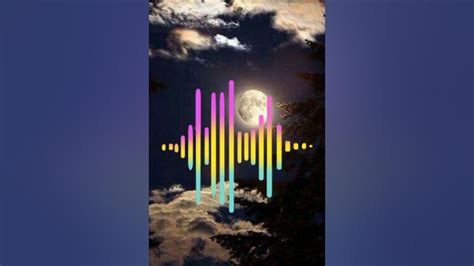 Тэргэл сар🌑🌑🌑 Youtube