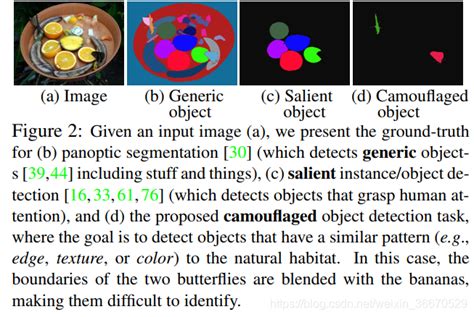 Camouflaged Object Detection Csdn博客