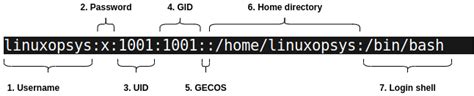 Etc Passwd File Explained