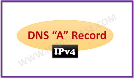 DNS A Record IP With Ease