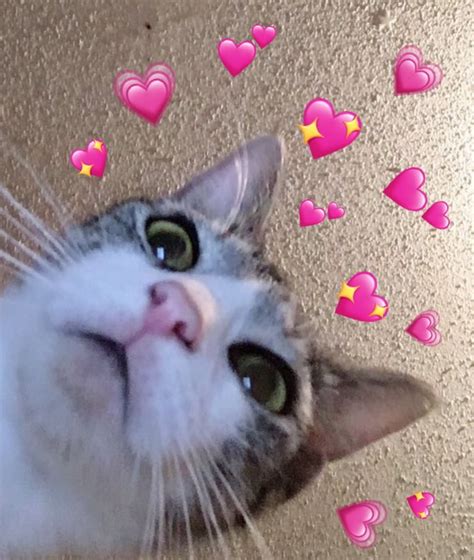 Your Heart Meme