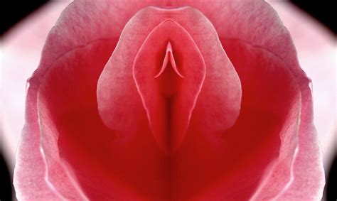 DIALOGASEX Asociación de Sexología