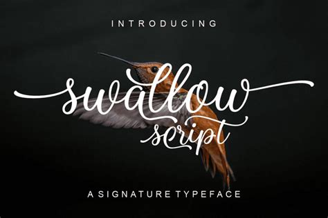 swallow script font · 1001 fonts