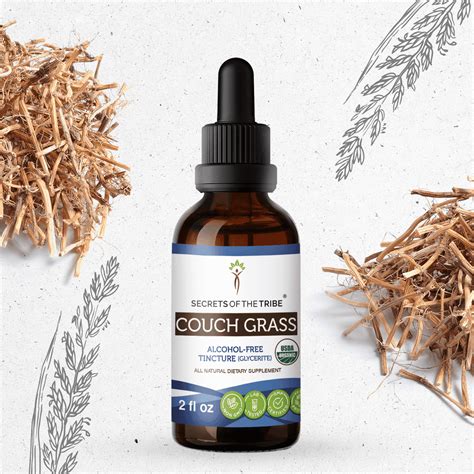 Secrets Of The Tribe Couch Grass Organic Tincture Dietary Supplement
