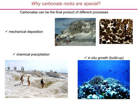 Carbonate Reservoirpdf