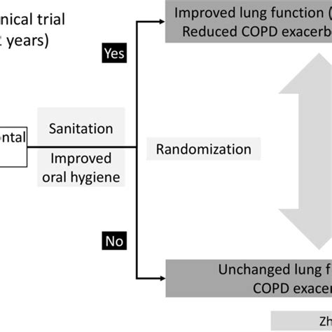 Interventional Studies On Lung Function Improvements And Reduced Copd Download Scientific