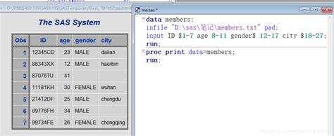 Sas初学者笔记 003 利用数据步读取数据 从文件中读取数据sas 读取csv Csdn博客