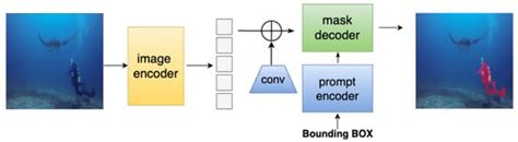 Watersam Adapting Sam For Underwater Object Segmentation