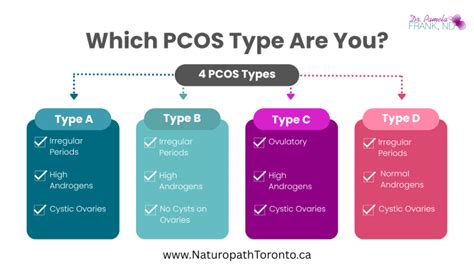 The 4 Pcos Types Explained Find And Demystify Yours Fast