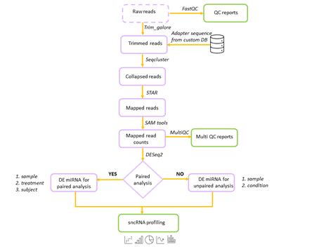 Github Doctorbioinformatics Sncrnap Nextflow Sncrna Identification Pipeline For Srnaseq Dataset