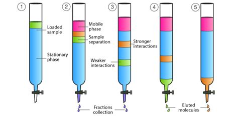 Cws Abroad What Is Column Chromatography