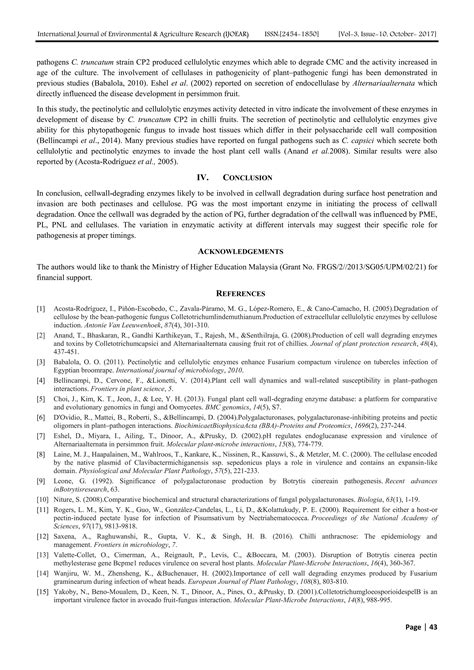 The Role Of Cell Wall Degrading Enzymes In The Development Of Anthracnose Disease Caused By