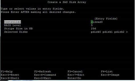 Hardware RAID Configuration On The IBM Power Platform IBM Developer