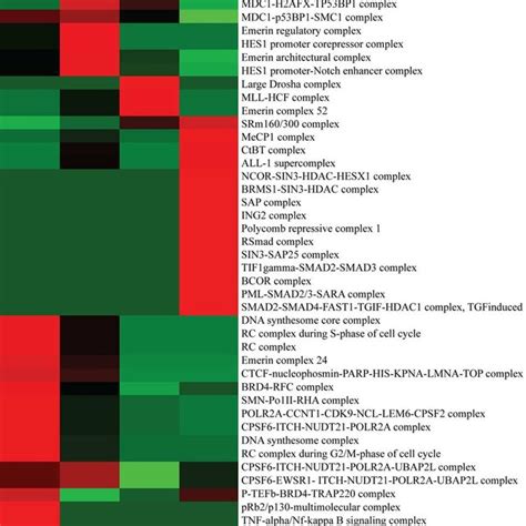 Functional Enrichment Based Clustering Analysis For The Quantified Download Scientific Diagram