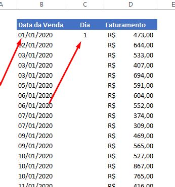 Como usar a função Dia no Excel Ninja do Excel