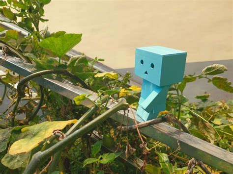 i 3d printed my own danbo r yotsuba