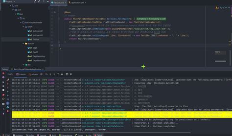 Springboot Spring Batch Simpletextreader Feat File