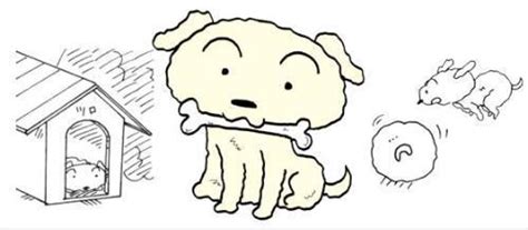 蜡笔小新之小白简笔画 简笔画图片大全 普车都