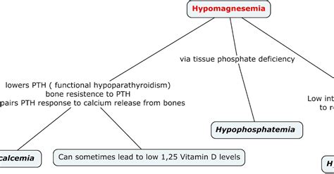 Nephron Power Concept Map Hypomagnesemia And It S Effect On Other Electrolytes