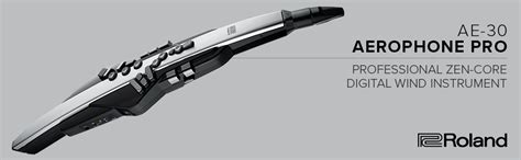 Roland Aerophone Pro Digital Wind Instrument Professional