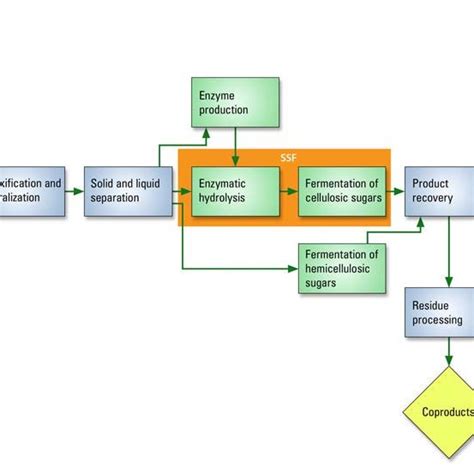 Pdf Second Generation Biofuel Production From Sorghum Biomass