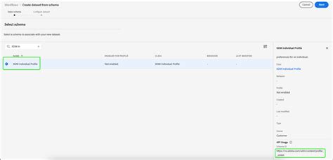 create a dataset for exporting an audience adobe experience platform
