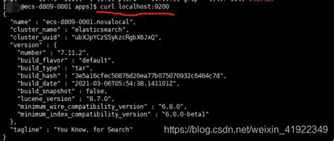 Elasticsearch 设置密码，并配置 Kinaba 和 Filebeatelasticsearch Setup Passwords Csdn博客