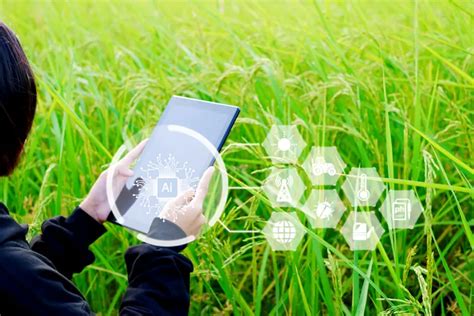 Digital Surveys With Ai To Improve Crop Acreage Estimates Business