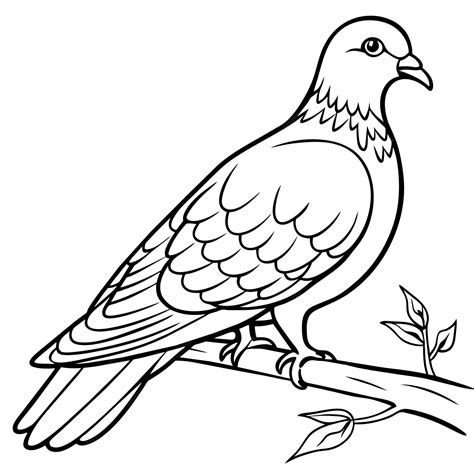 Premium Vector Pigeon Bird Coloring Book Page Vector Illustration 18