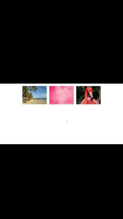 Image Full Screen Using Html Css And Javascript Codesecret