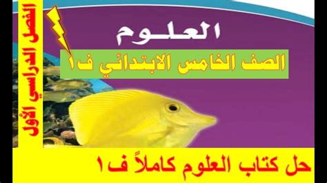 حل كتاب العلوم للصف الخامس الابتدائي الفصل الدراسي الأول ف1 Youtube