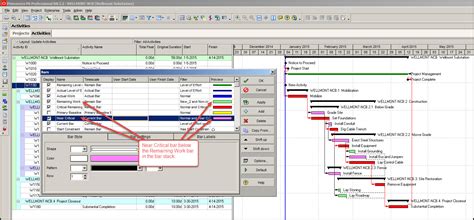 Primavera P6s Systematic Approach To Displaying Gantt Chart Bars