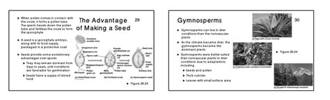 solved build a character table and then draw a phylogenetic