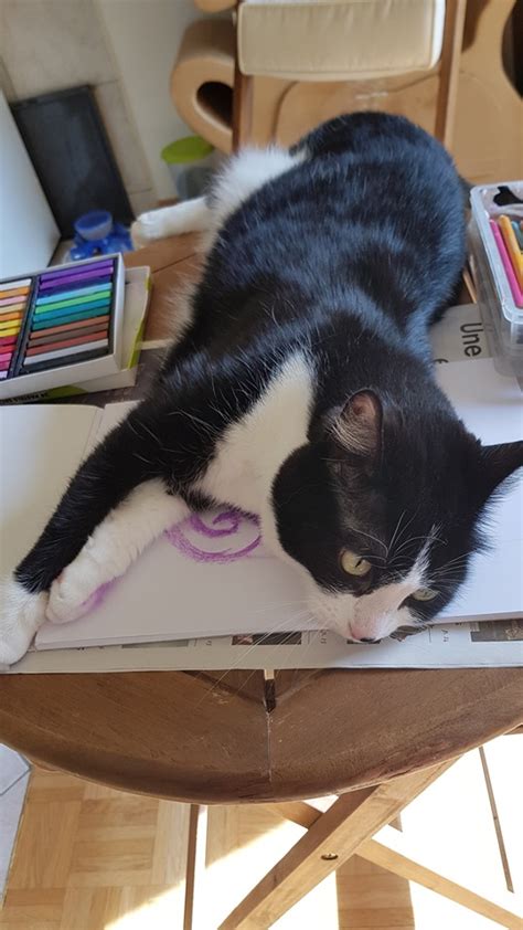 Isabelle David Isabelle David Added A New Photo