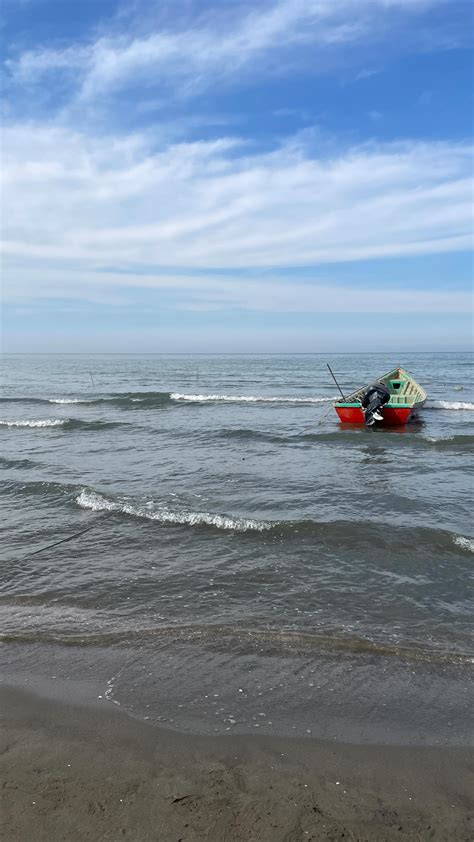 ‎فرشته احمدی Fereshte Ahmadi‎ Fereshteahmadi61 • Instagram Photos