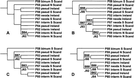 Strict Consensus Trees Resulting From Analyses Of Relationships Among