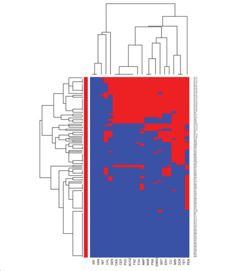 Hierarchical Clustering Dendrogram Of Antimicrobial Resistance
