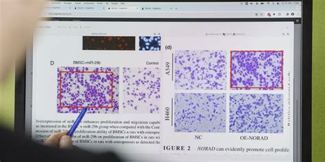 How Science Sleuths Track Down Bad Research Wsj